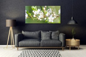 Plexisklo-obraz Květiny Větve Listy Sad 120x60 cm