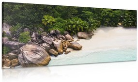 Obraz pobřeží Seychely - 120x60 cm
