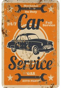 Cedule Car Service
