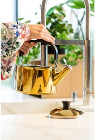 Varná konvice z nerezové oceli v leskle zlaté barvě 1,5 l Diamante – Vialli Design