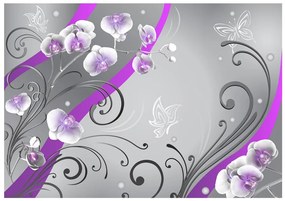 Fototapeta - Purple orchids - variation