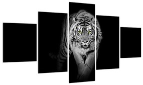Černobílý obraz tygra (125x70 cm)
