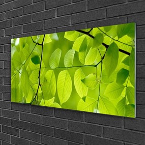 Obraz na skle Listy Příroda Rostlina 120x60 cm