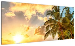 Obraz palmy na písečné pláži (100x40cm)
