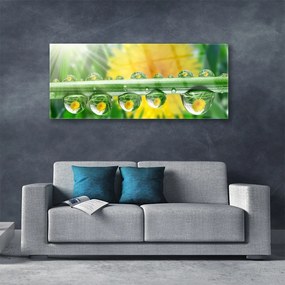 akrylový obraz Stonek Kapky Rosa Rostlina 125x50 cm