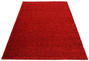 Exkluzivní kusový koberec SHAGGY PORTE-T TK0020 - 70x200 cm