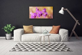 Obraz na plátně Orchidej Výhonky Květiny Příroda 120x60 cm