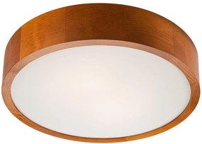 Stropní světlo led stropní svítidlo 1xled/24w/230v