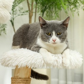 PawHut škrabadlo 61,5 cm vysoké Škrabadlo pro kočky s míčkem na hraní, pelíšky, věž pro kočky se škrabací deskou, pro kočky do 5 kg, hruškové dřevo, …
