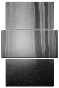 Obraz na plátně - Mlha v lese - obdélník 7182QC (105x70 cm)