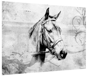 Obraz - portrét koně (70x50 cm)