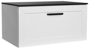BESCO Spodní skříňka DEXA bílá matná Barva - Bílá, Madla - Černá, Rozměr A - 60 cm, Rozměr B - 50 cm, Rozměr C - 40 cm NASUD654BC