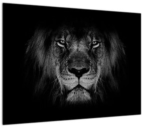 Skleněný obraz - Lev a jeho majestátnost (70x50 cm)