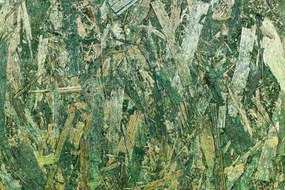 DIMEX | Samolepicí vliesová fototapeta na zeď Dřevotřískové desky zelené MA-5-2539 | 375 x 250 cm | zelená