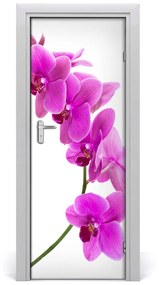 Fototapeta samolepící Růžová orchidej 85x205 cm