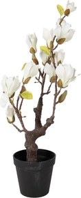 Dekorační stromek Magnolia s bílými květy - 16*14*60 cm