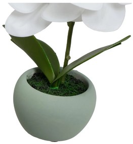Umělé rostliny v sadě 3 ks (výška 15 cm) Orchid – Casa Selección