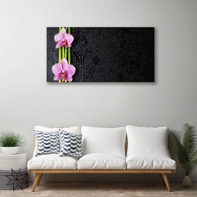 Obraz na plátně Bambus Květ Rostlina Příroda 100x50 cm