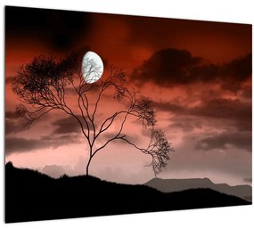 Skleněný obraz - Měsíc osvětlující noc (70x50 cm)