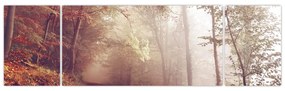 Obraz - Podzimní procházka lesem (170x50 cm)