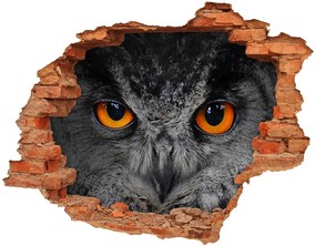 Wallmuralia Fototapeta díra na zeď Oči sovy 90x70 cm