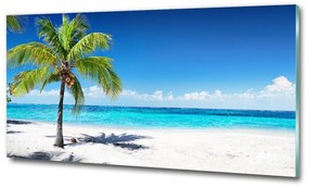 Wallmuralia Foto obraz skleněný horizontální Tropická pláž 100x50
