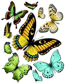 Samolepicí dekorace Motýli F 1069 - 65 x 85 cm