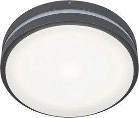 Rabalux 8847 - LED Venkovní nástěnné svítidlo HAMBURG LED/10W/230V IP44