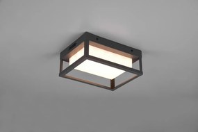 LED nástěnné venkovní svítidlo (výška 24 cm) Witham – Trio