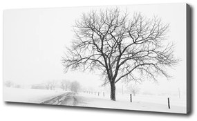 Wallmuralia Foto obraz na plátně Strom zima 100x50