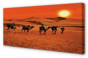 Obrazy na plátně Velbloudi lidí pouštní slunce nebe 100x50 cm