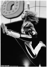 Plakát, Obraz - Van Halen - David Lee Roth 1980, (59.4 x 84.1 cm)