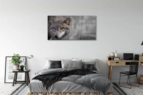 akrylový obraz Vlk 125x50 cm