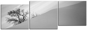 Obraz na plátně - Červené písečné duny - panoráma 5133QD (90x30 cm)