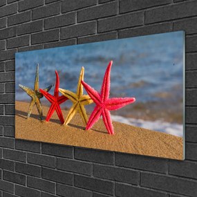 Obraz na skle Pláž Hvězdice Umění 120x60 cm