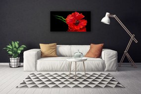 Obraz na plátně Květ Mák Rostlina Příroda 120x60 cm