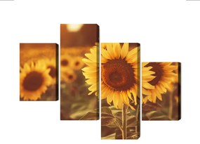 Vícedílný obraz Pole Slunečnic V Retro 3D Stylu Nedostatek Nedostatek Plátno Canvas 160x100