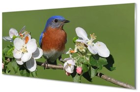 Obraz na skle Květiny barevné papoušek 100x50 cm