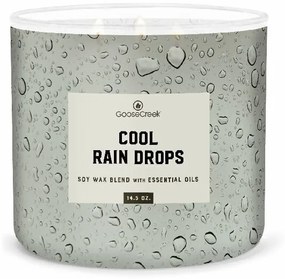 Svíčka MEN'S COLLECTION 0,41 KG COOL RAIN DROPS, aromatická v dóze, 3 knoty|Goose Creek