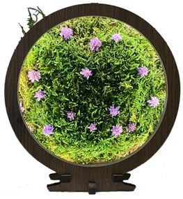 Li-Go "Slaměnky v mechu" lampa 20x22 cm