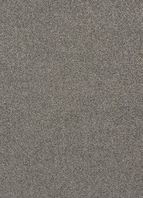 Koberce Breno Metrážový koberec DRAGON 31431, šíře role 300 cm, Hnědá