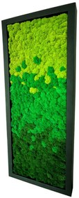 OznTo Podlouhlý mechový obraz Ombre,zelený,2velikosti,3barvy Barva rámečku: Černá, Rozměr rámečku: 25x60cm