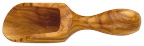 Lžíce na sůl z olivového dřeva Jean Dubost Real, 7 cm