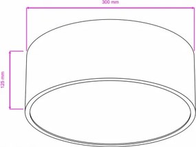 Brilagi - Koupelnové stropní svítidlo POOL 2xE27/15W/230V pr. 30 cm IP54 černá