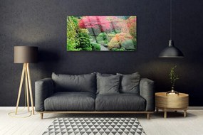 Obraz na skle Zahrada Květina Strom Příroda 100x50 cm