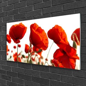Obraz na skle Máky Rostlina Příroda 100x50 cm