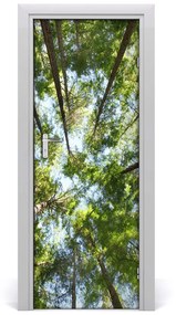 Fototapeta na dveře samolepící koruna stromů 75x205 cm