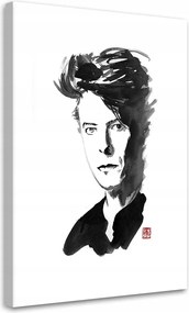 Obraz na plátně Bowie Péchane 70x100