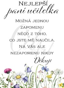 CitArt.cz Nejlepší paní učitelka – možná jednou zapomenu něco z toho, co jste mě naučila. Na Vás ale nezapomenu nikdy Děkuji Motiv: Bílá, Velikost: 22,5x30 "A4"