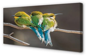 Obrazy na plátně Ptáci na větvi 120x60 cm